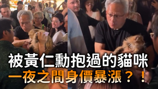 Aventino相關新聞懶人包, 照片, 影片, 報導, 資訊及訊息 | ETtoday寵物雲 | ETtoday新聞雲