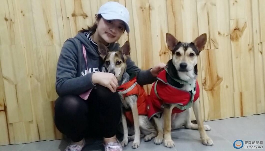 飼主「用愛灌溉」 寫下和米克斯毛孩的「愛情故事」 | ETtoday寵物雲 | ETtoday新聞雲