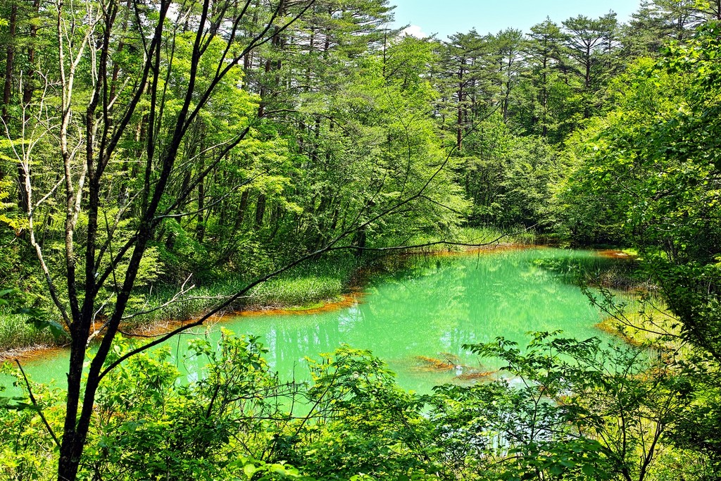 日本東北森呼吸，猊鼻溪扁舟投福玉，奧入瀨溪流戀夏美景 | ETtoday旅遊雲 | ETtoday新聞雲