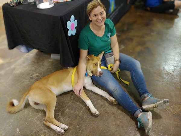 乖狗狗到新家2天後竟然被退養 神扯原因讓人怒了 | ETtoday寵物雲 | ETtoday新聞雲