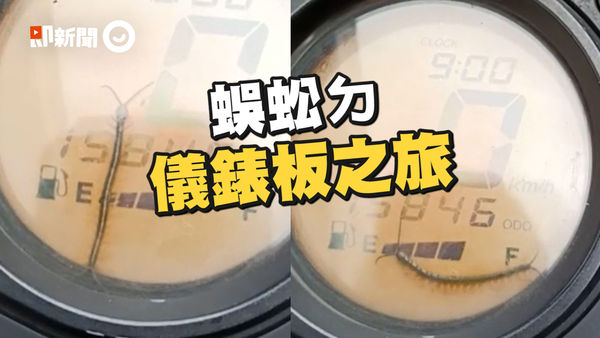 影／儀錶板驚見蜈蚣爬竄 騎士嚇傻上班慘遲到！ | ETtoday生活新聞 | ETtoday新聞雲