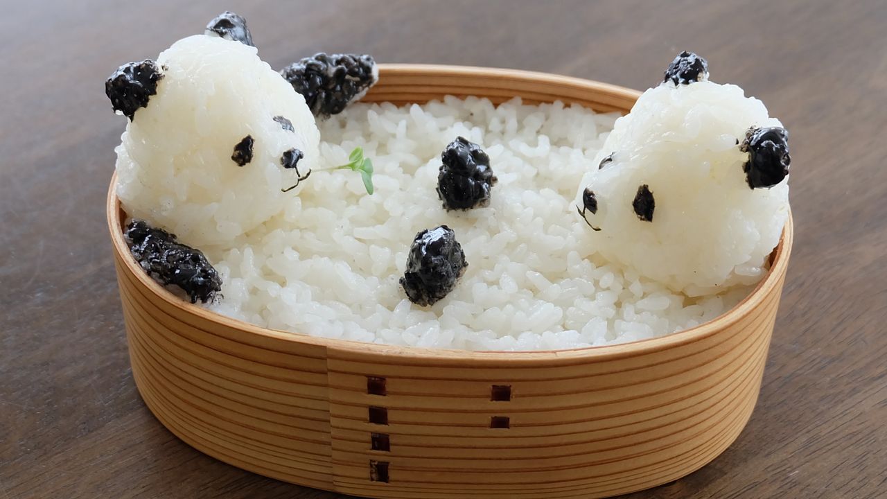 手做「熊貓泡湯飯糰便當」 咬竹抬腳chill表情超逼真 | 凱特王 | 鍵盤大檸檬 | ETtoday新聞雲