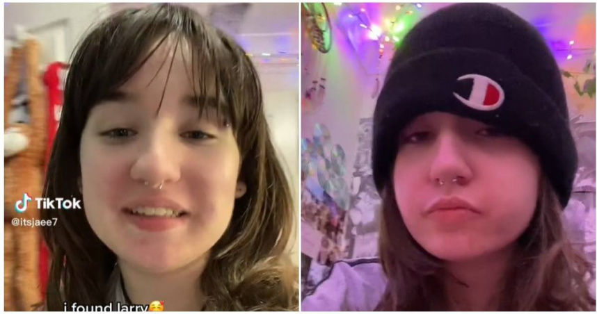 在床上發現巨大蜘蛛！正妹收養為寵物拍影片 意外衝破200萬點閱 | ETtoday寵物雲 | ETtoday新聞雲