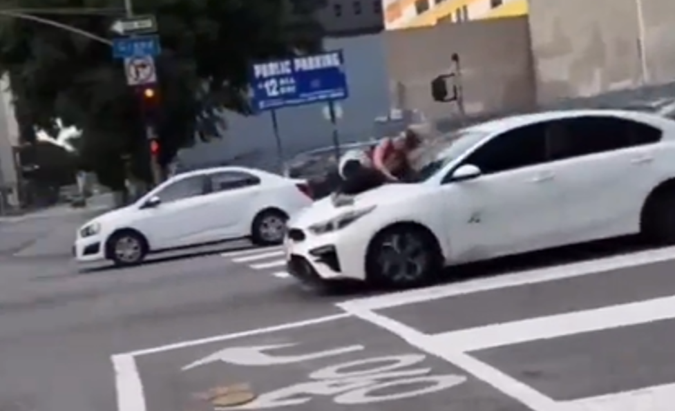 法鬥被陌生人抱走 女為救狗「緊抓高速車引擎蓋」驚險畫面瘋傳 | ETtoday寵物雲 | ETtoday新聞雲