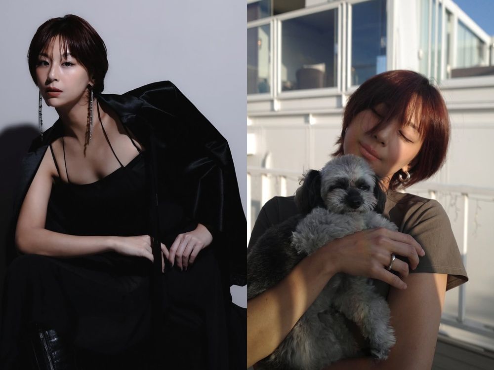 《AV帝王》西內麻里亞閃電宣布引退！ 發現「親人涉糾紛」網震驚 | ETtoday星光雲 | ETtoday新聞雲