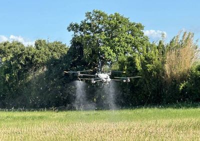 Taoyuan's smart farming wins Taiwan sustainability awards | News Minimalist