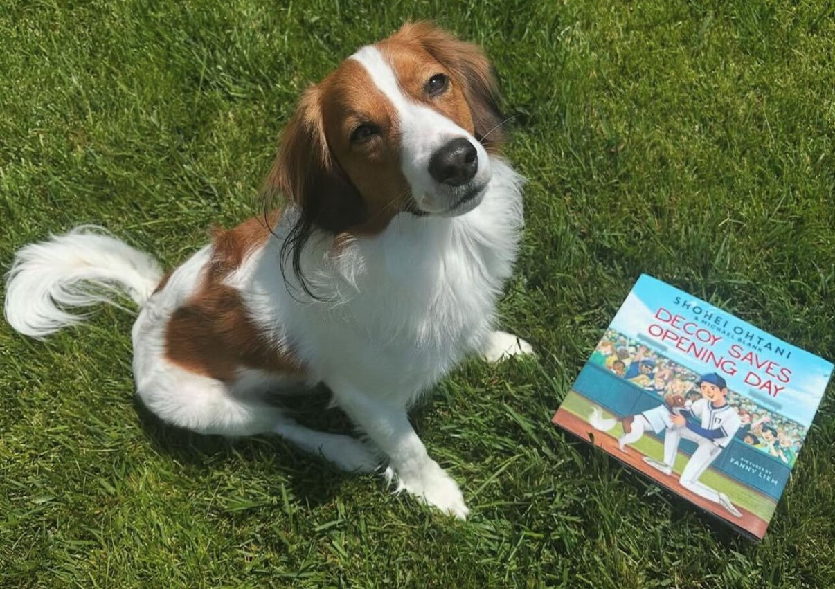 大谷翔平愛犬Dekopin出繪本了！MLB也搶著幫推 | ETtoday運動雲 | ETtoday新聞雲