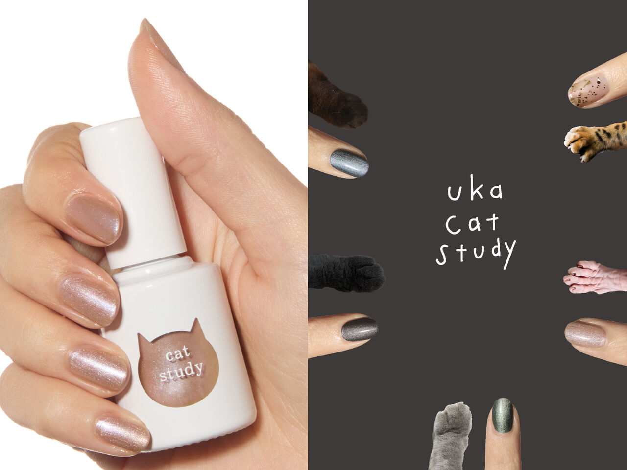 美周記／uka貓咪指甲油可愛爆擊、AESOP天竺葵系列用過回不去 | ET Fashion | ETtoday新聞雲